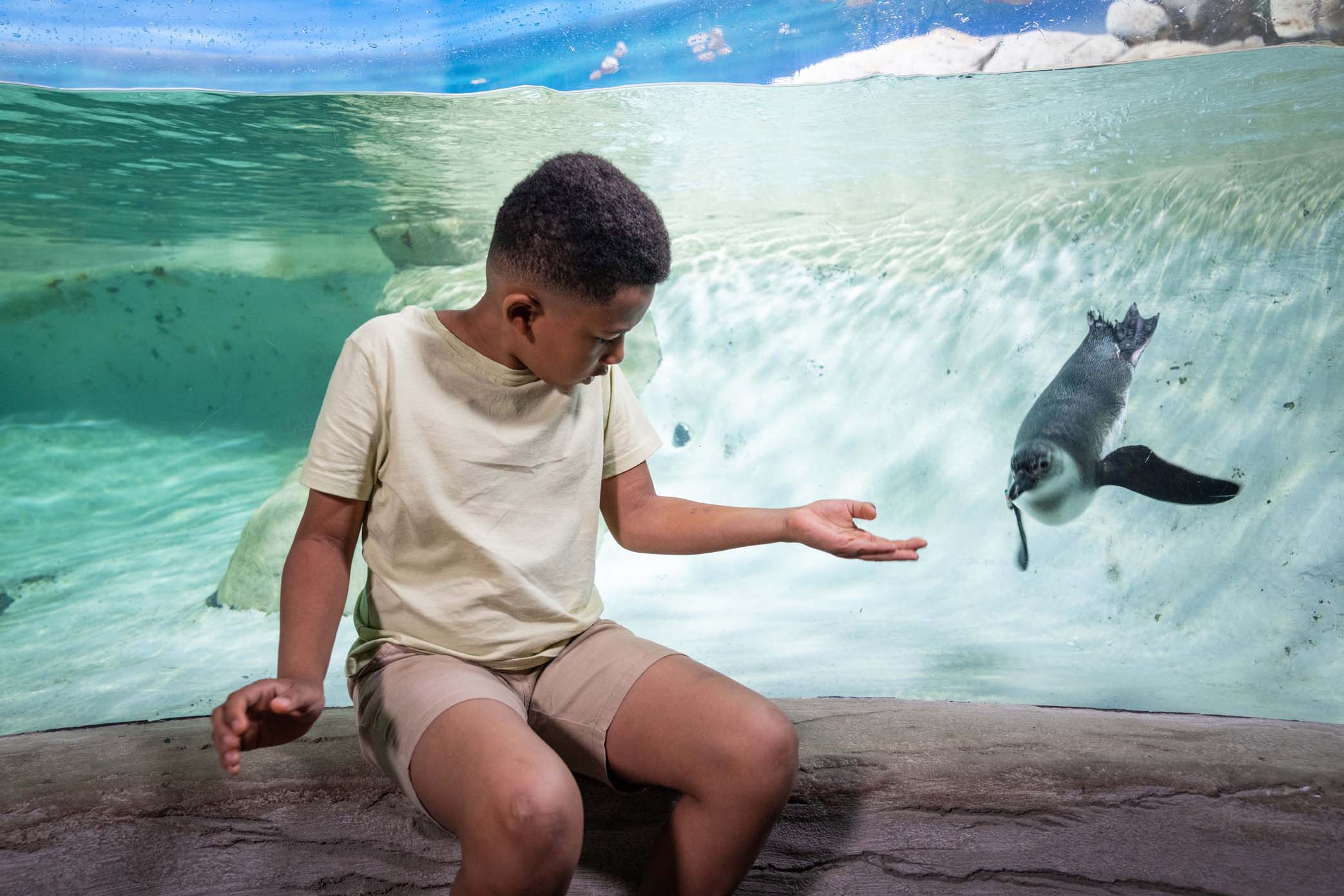 Hours & Admission | Aquarium