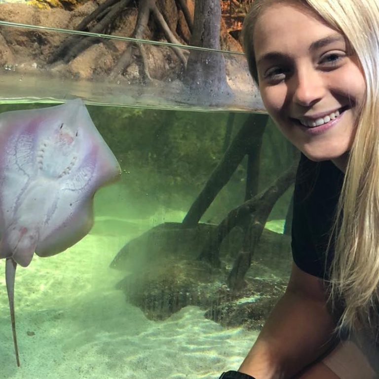 Join Our Team | Aquarium