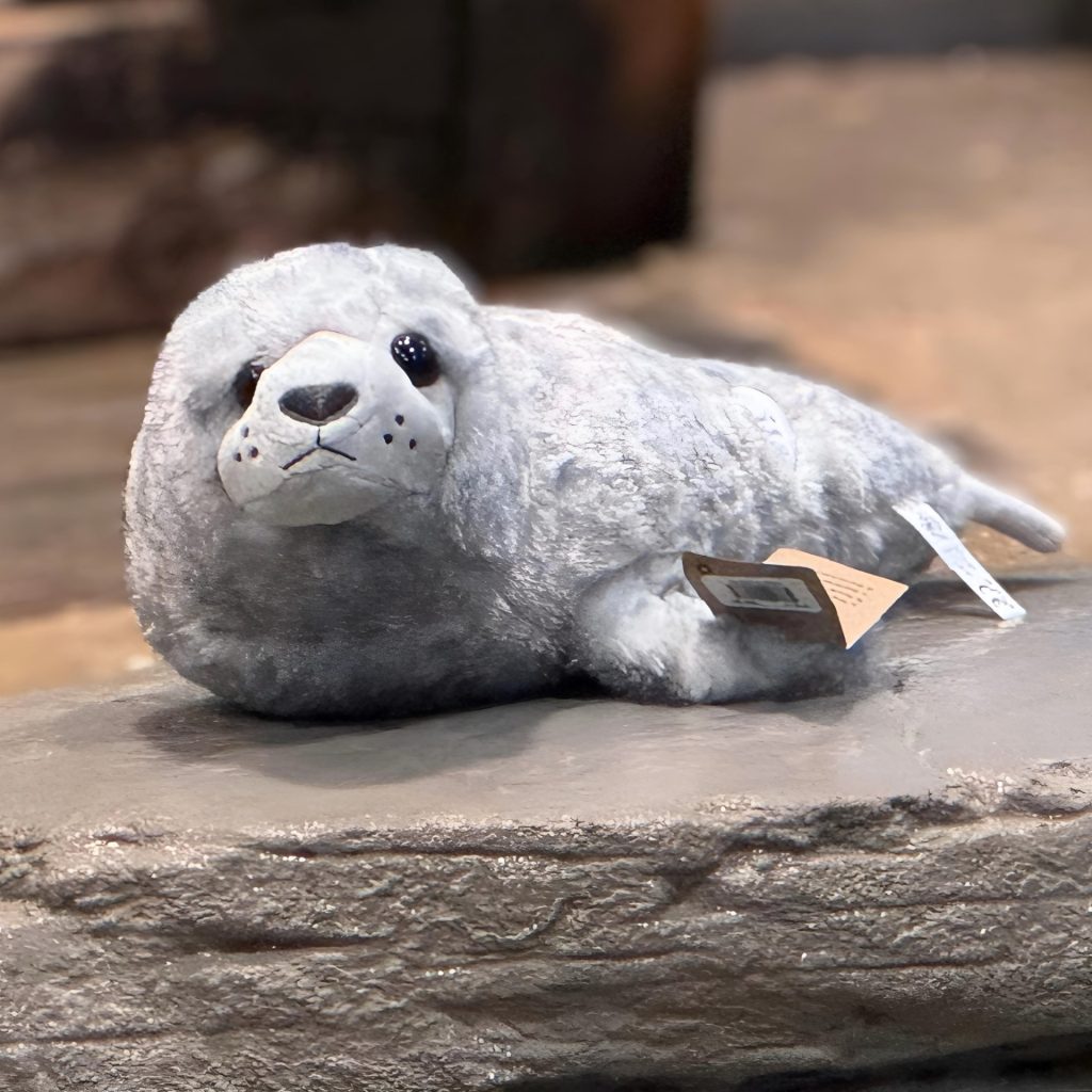 Seal: Limited Edition Turbo | Aquarium